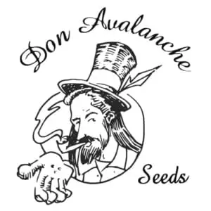 don avalanche seeds logo - Real Gorilla Seeds