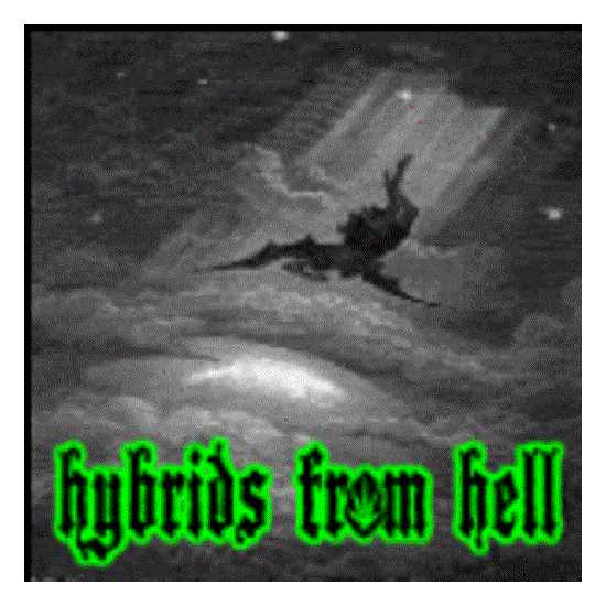 hybrids-from-hell - Real Gorilla Seeds