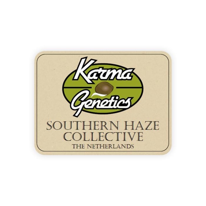 karma-genetics—southern-haze-c - Real Gorilla Seeds